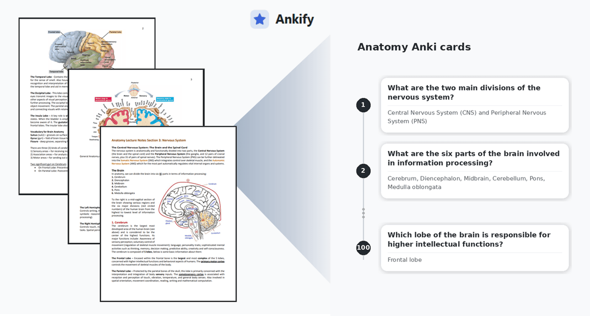 Anki Card Generator – Create Flashcards from Notes, PDFs, and Slides ...