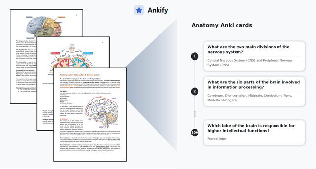 Anki Card Generator – Create Flashcards from Notes, PDFs, and Slides ...